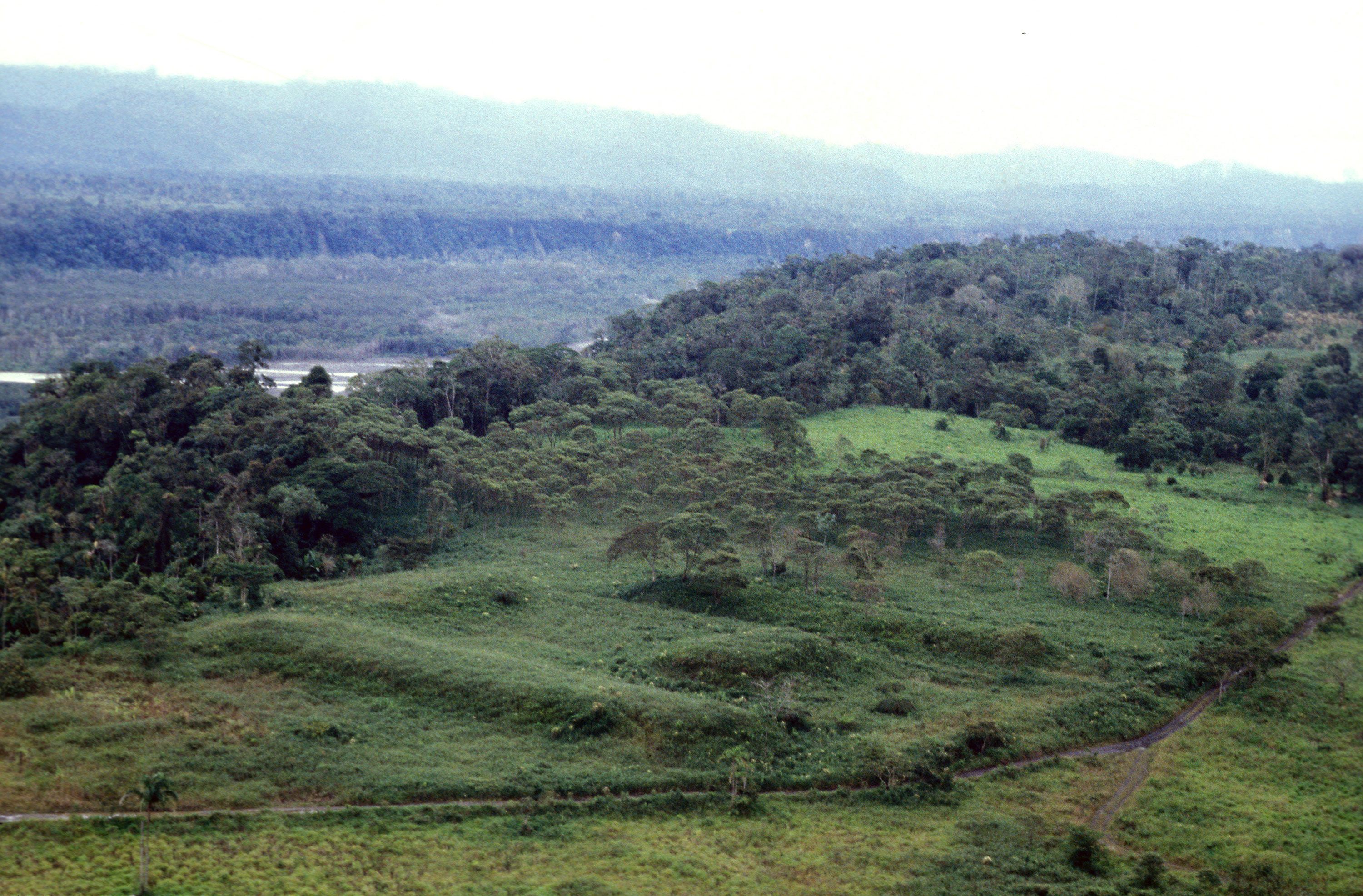 Rediscovered: The Ancient Cities Buried in the Amazon Rainforest